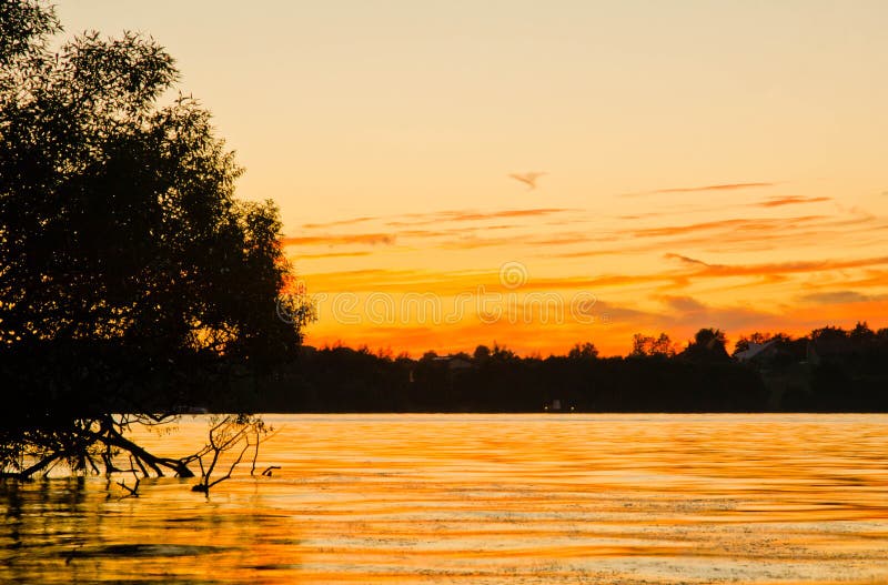 Forest and Sunset Over the Lake in Summer Stock Photo - Image of leaves ...