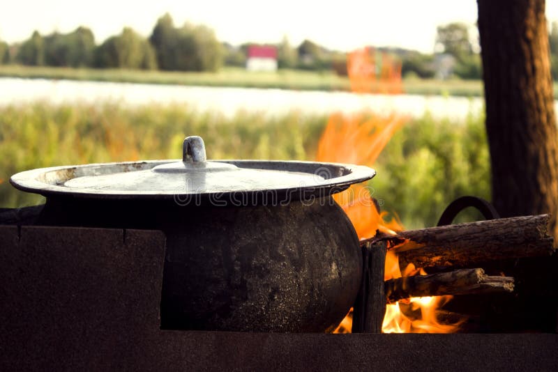 The Forest at Sunset in Smoke Stock Image - Image of flame, trees ...