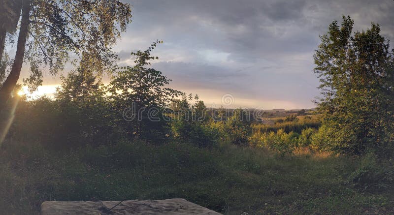Forest Sunset Trees Grass Sky Clouds Stock Image - Image of nature ...