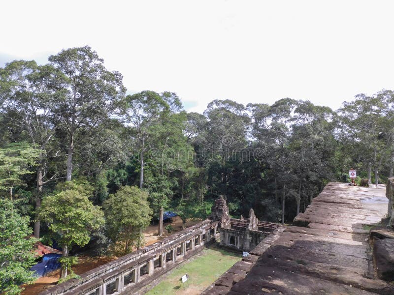 122 Pyramid Shaped Trees Stock Photos - Free & Royalty-Free Stock ...