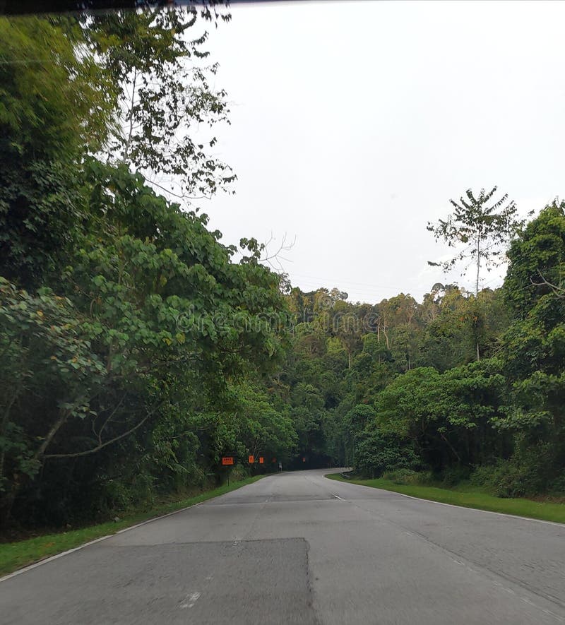 Tar road stock photo. Image of black, middle, straight - 3734414