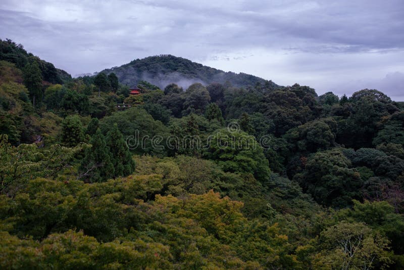 Forest with Temple in Kyoto Stock Photo - Image of landmark, historic ...