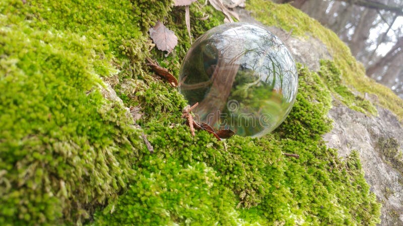 Reflection Orb 2 stock photo. Image of trail, nature - 117538178