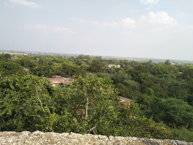 Forest from a top view stock photo. Image of parking - 152657208