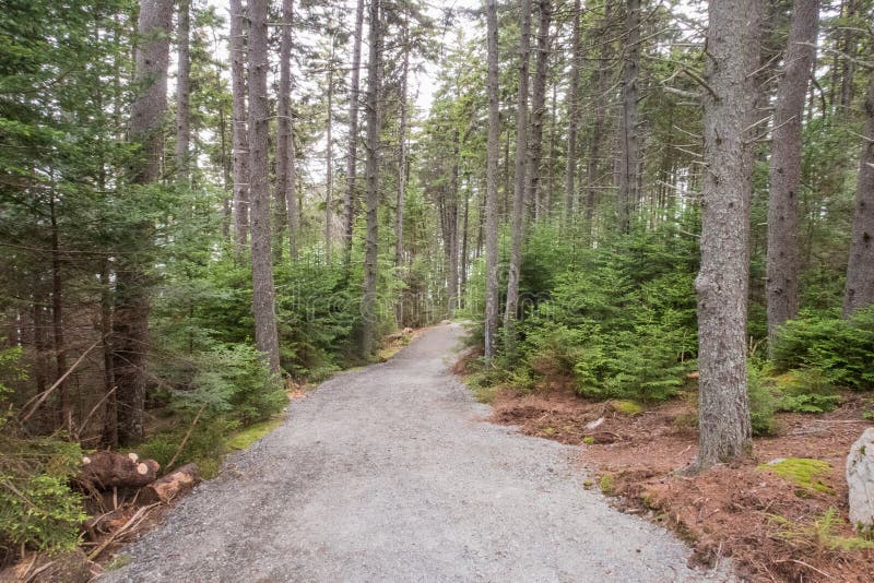 Beautiful Fall Colors of Acadia National Park in Maine Editorial ...