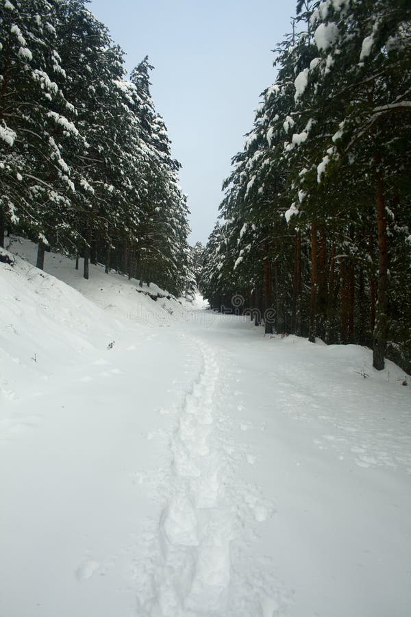 Path Adobe Photoshop Stock Photos - Free & Royalty-Free Stock Photos ...