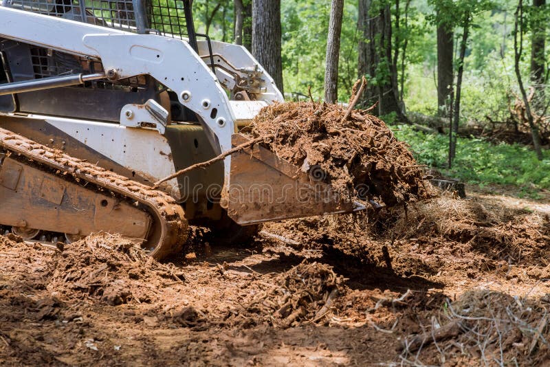 At Forest, Tractor is Using a Bucket To Level Ground during Earthworks ...