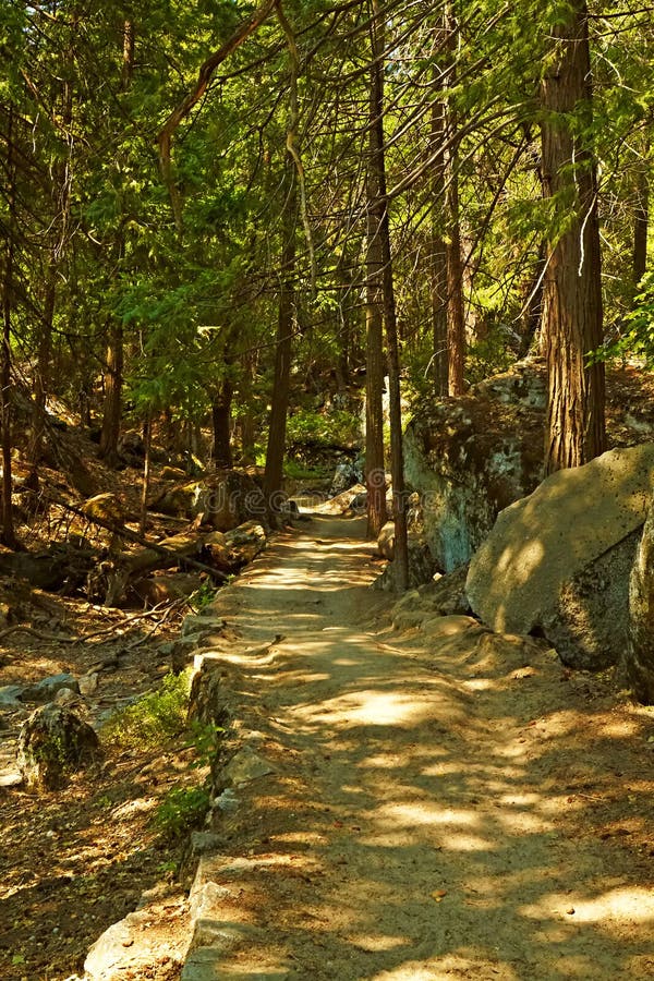 Forest Trail in Spring stock photo. Image of nature, exercise - 142026