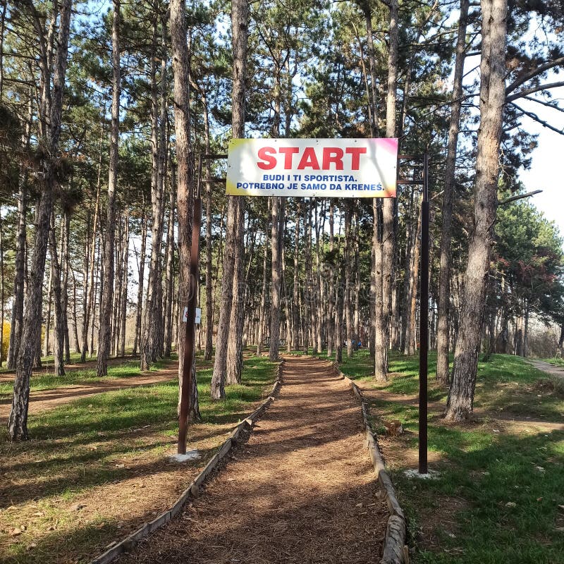 Forest trail for running stock photo. Image of waterway - 234418604