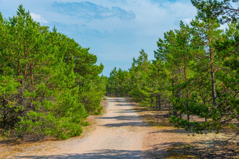 Forest Trail at Saaremaa Island in Estonia Stock Photo - Image of ...