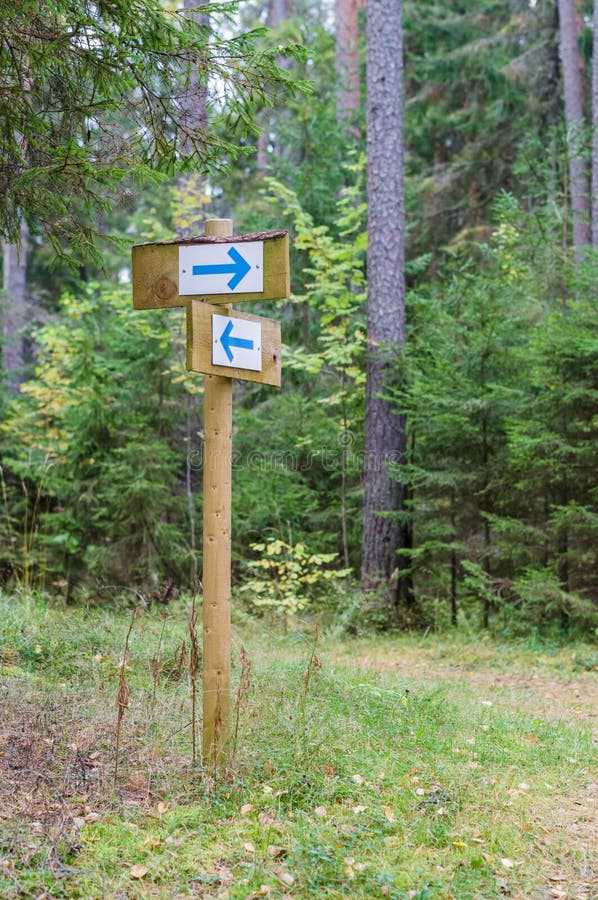 Forest Trail Signpost with Pointing Arrows Stock Photo - Image of plank ...