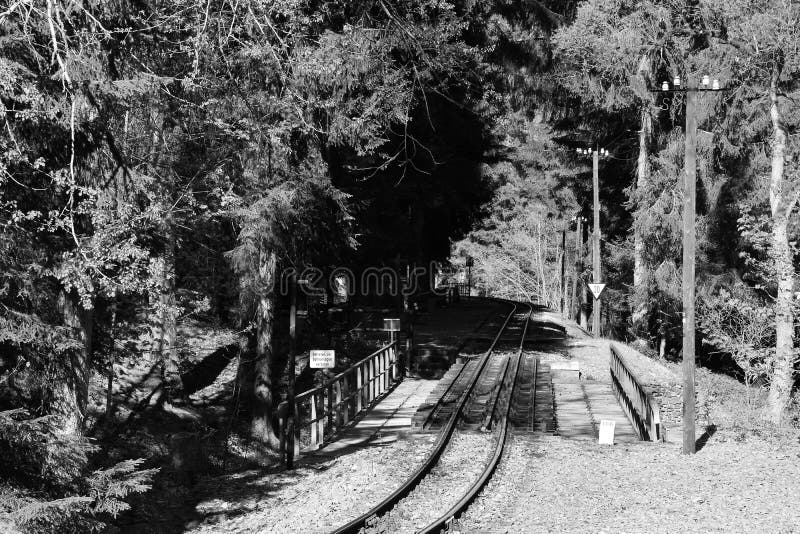 Forest Train Station Near German Village of Steinbach Stock Photo ...