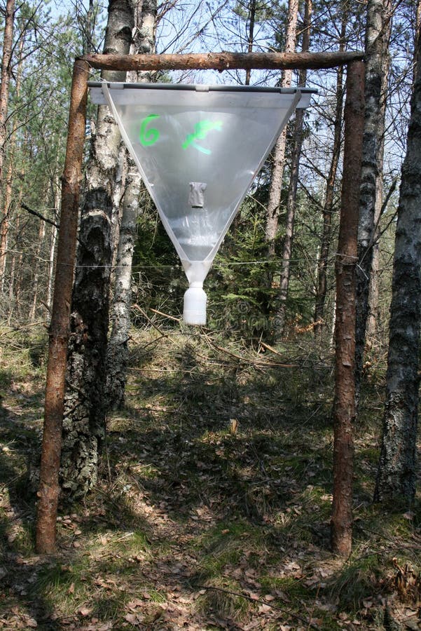 273 Trap Pests Stock Photos - Free & Royalty-Free Stock Photos from ...