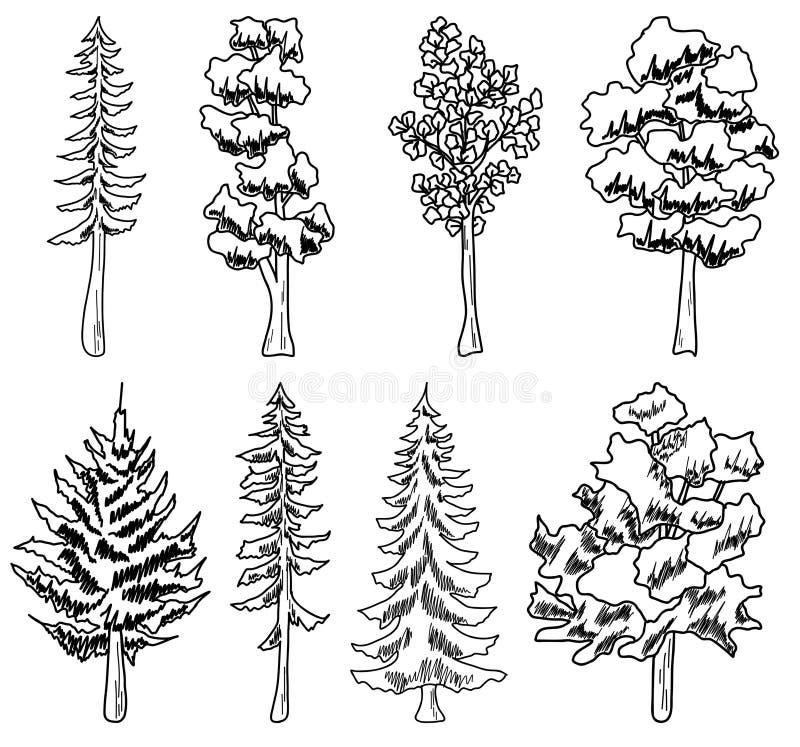 Forest Tree Line. Set of Graphics Trees Elements Outline Symbol for ...