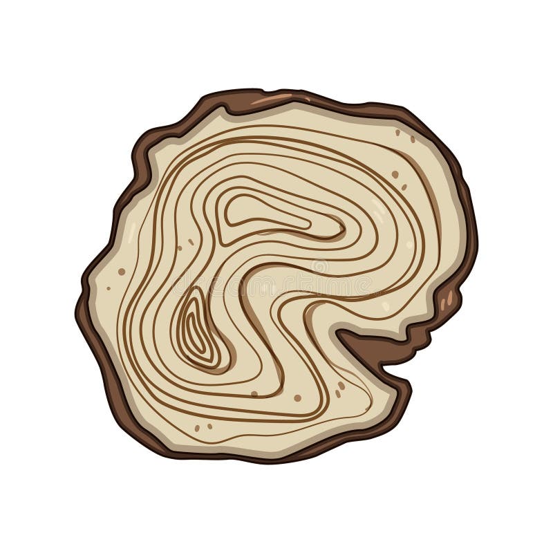 Forest Tree Rings Cartoon Vector Illustration Stock Illustration ...