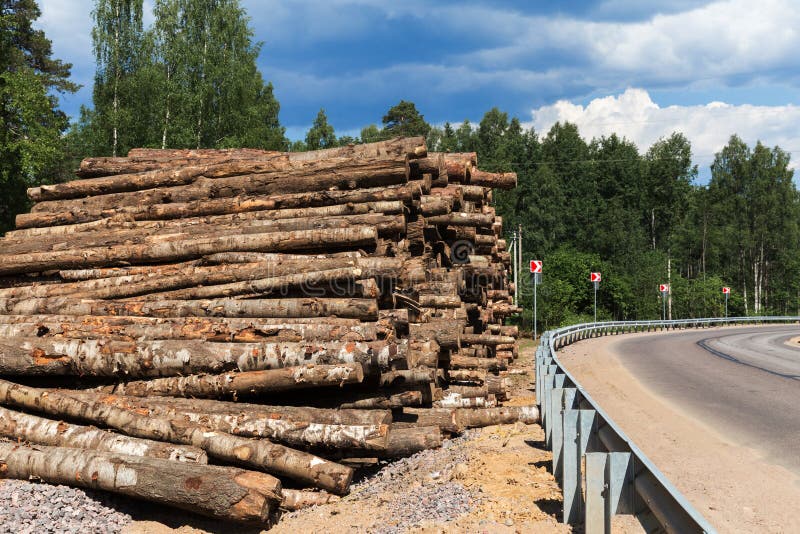 Deforestation stock image. Image of photography, climate - 39037751