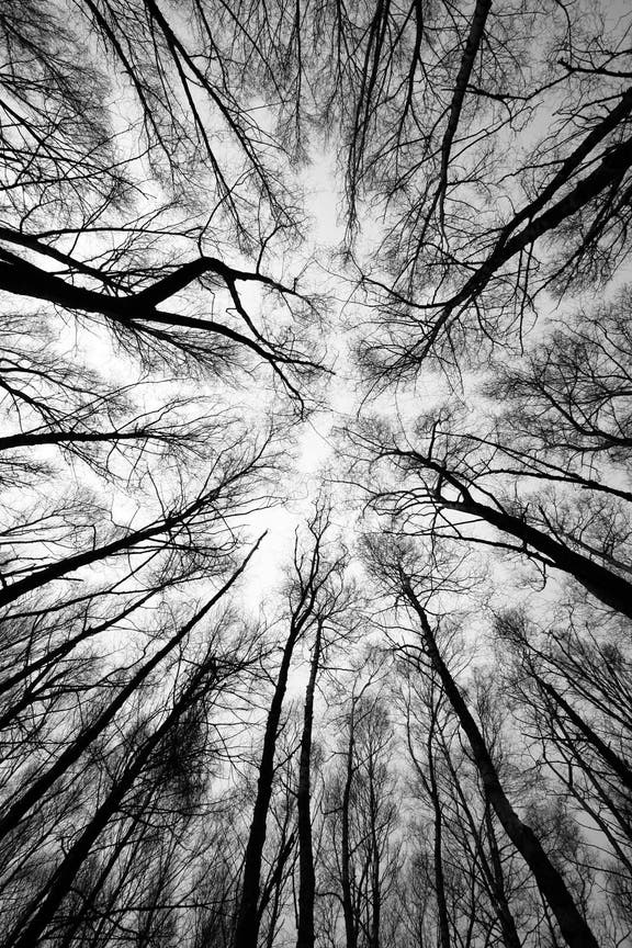 9,191 Serene Fire Stock Photos - Free & Royalty-Free Stock Photos from ...