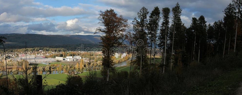 Forest Trees on a Hill stock photo. Image of weather - 297054370