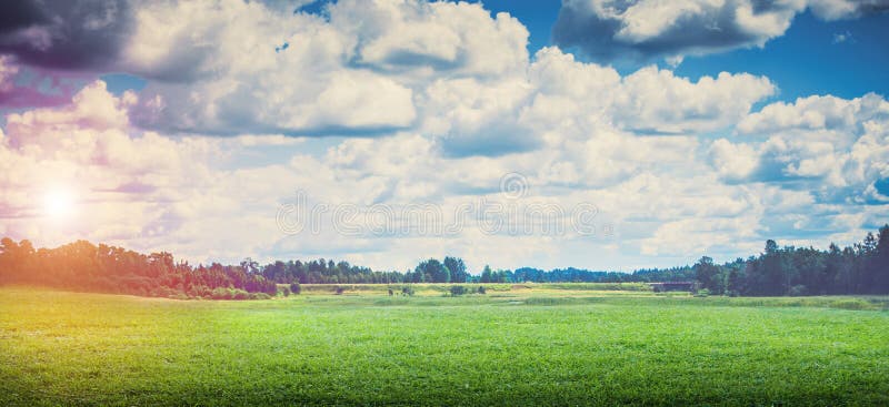 Panoramic meadow stock photo. Image of scenic, morning - 39389022