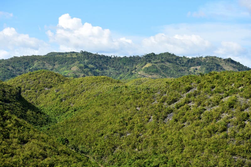 Forest Trees Mountain Sky and Clouds Stock Image - Image of plants ...