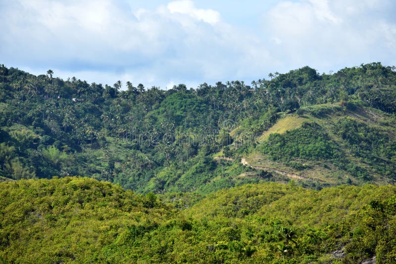 Forest Trees Mountain Sky and Clouds Stock Image - Image of plant ...