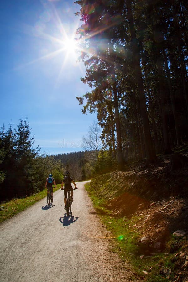 Forest and Trees and Riding Bike on Road Stock Photo - Image of natural ...
