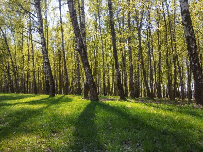 Dima Box Wallpaper Stock Photos - Free & Royalty-Free Stock Photos from ...