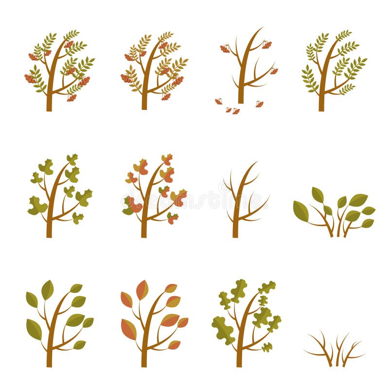 Forest Trees Vintage Template Card Stock Vector - Illustration of frame ...