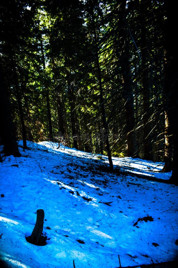 Snow and Shadow stock photo. Image of chilly, snow, morning - 413166