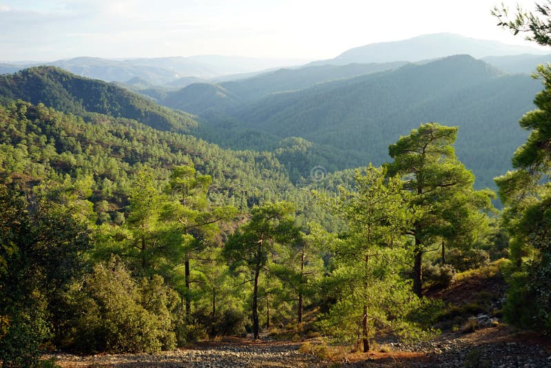 Troodos Mountain stock image. Image of holiday, mountain - 6951377