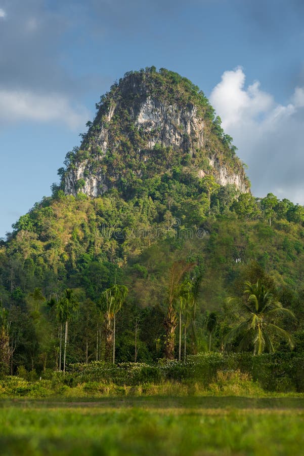 Forest Tropical Limestone Mountain Stock Photo - Image of travel, high ...
