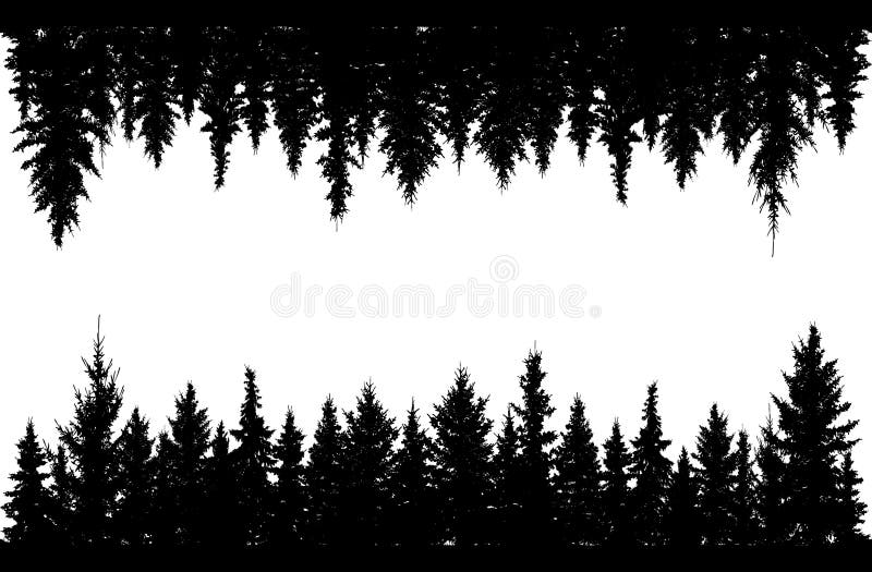 Forest and Forest Upside Down. Black Silhouettes of Spruce Trees Stock ...