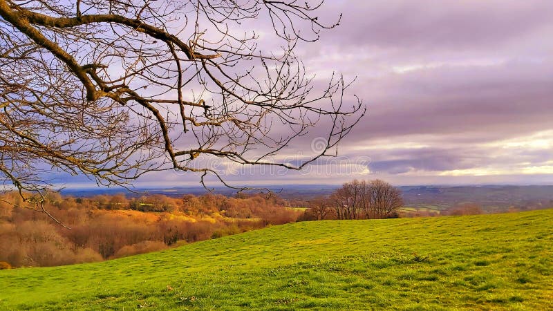 Forest valley somerset stock photo. Image of leaf, field - 221423620