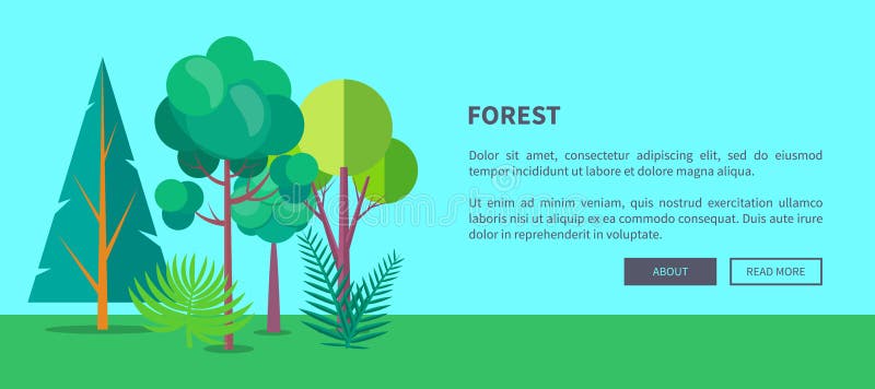Forest Vector Web Banner with Trees and Bushes Stock Vector ...