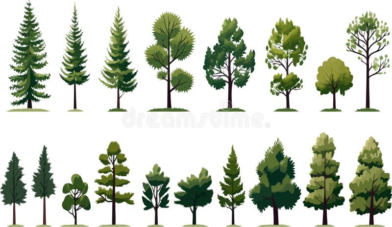 Forest Vegetation Set Isolated Vector Style Illustration Stock Vector ...