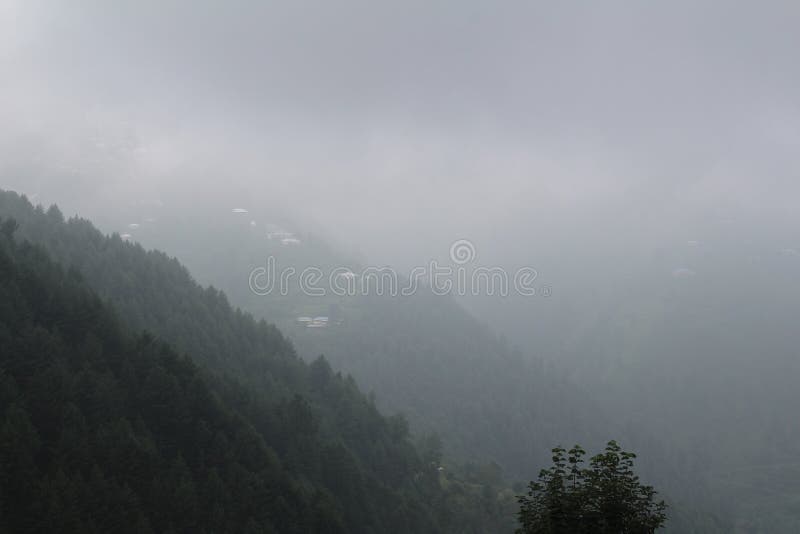 Forest stock photo. Image of clouds, nicely, nice, outdoor - 102744996
