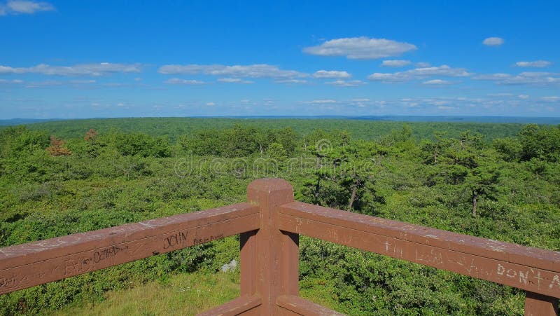 Forest View stock photo. Image of environment, panorama - 36300706