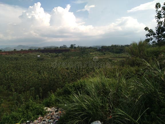 Forest View Kuningan Indonesia Stock Photo - Image of field, tree ...