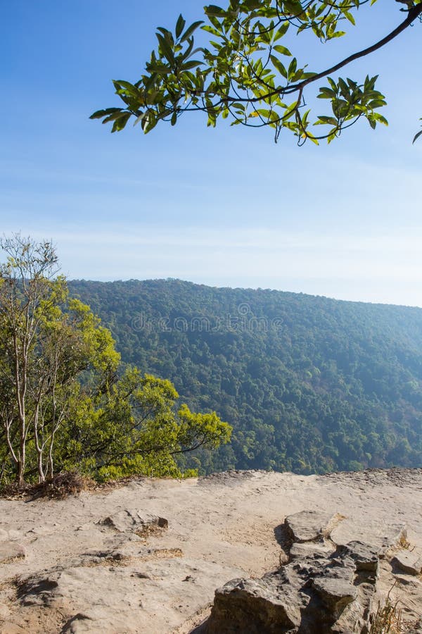 Forest view stock photo. Image of summer, scenic, cliff - 37459536