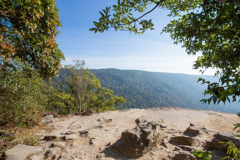 Forest view stock image. Image of sunny, point, highland - 37459645