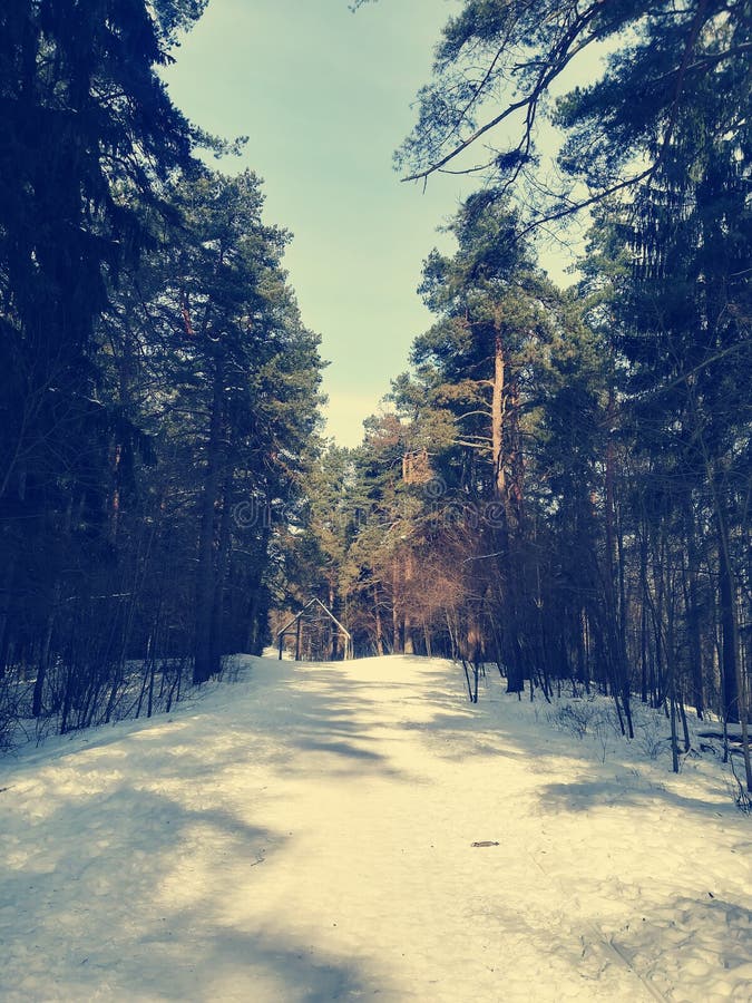 Nature beauty stock image. Image of nature, vilnius - 117791651