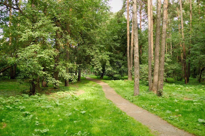 Walking path through park stock photo. Image of outdoors - 31673712