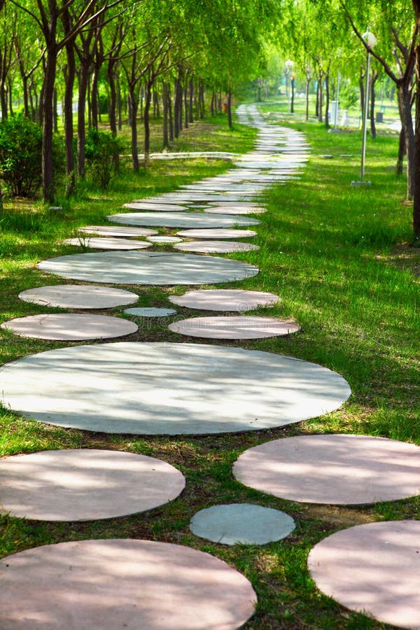 Forest walking path stock image. Image of hike, road - 16002395