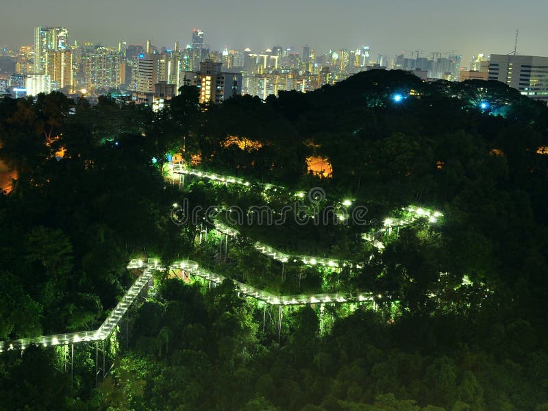 Forest Walkway With Cityscape At Background Picture. Image: 16199673