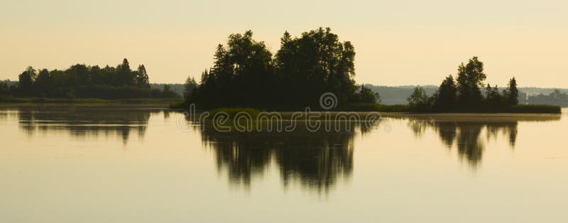 Forest On Water Picture. Image: 10195297