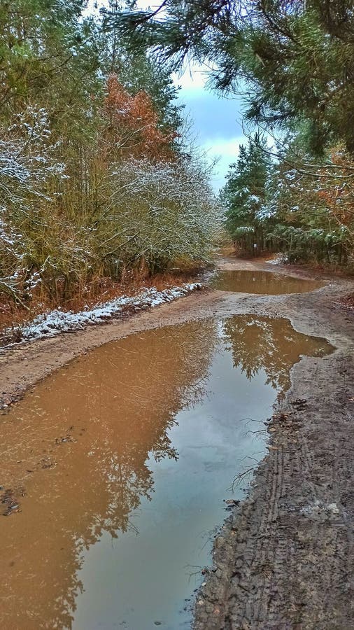 Water on the road stock image. Image of flood, road - 148361343