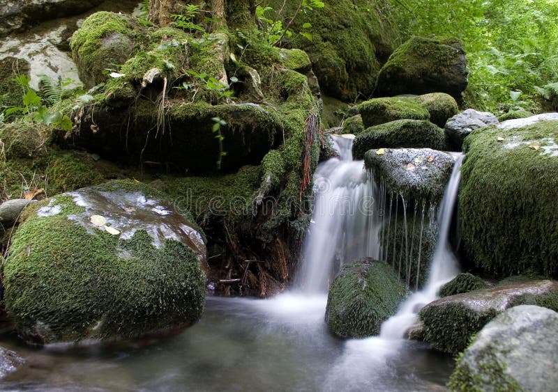 Mountain stream waterfall stock image. Image of forest - 5855289