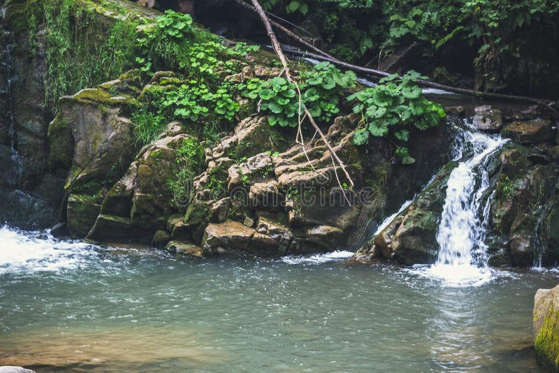 Forest waterfall stock image. Image of mountain, cascade - 156177981