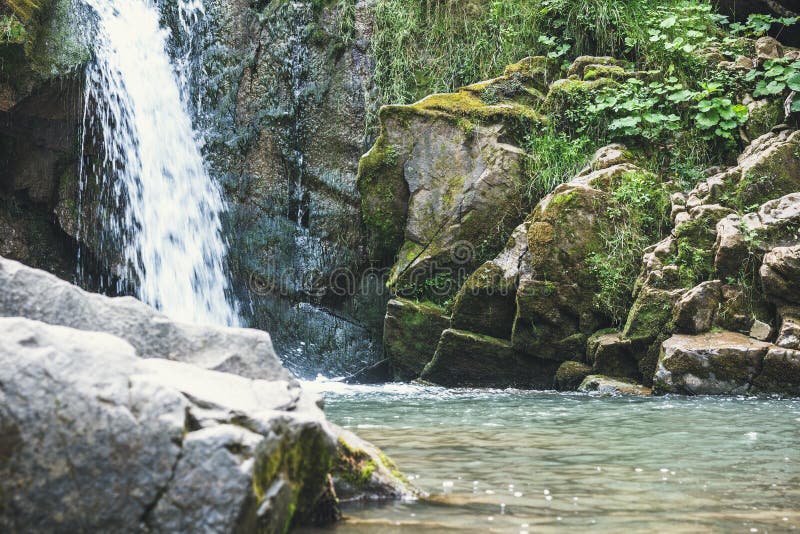 Forest waterfall stock image. Image of tourism, stream - 156178421