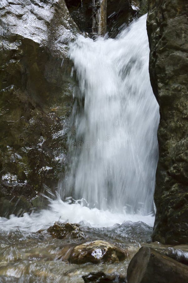 Forest Waterfall Blurred In Slow Motion Capture. Stock Image - Image of ...